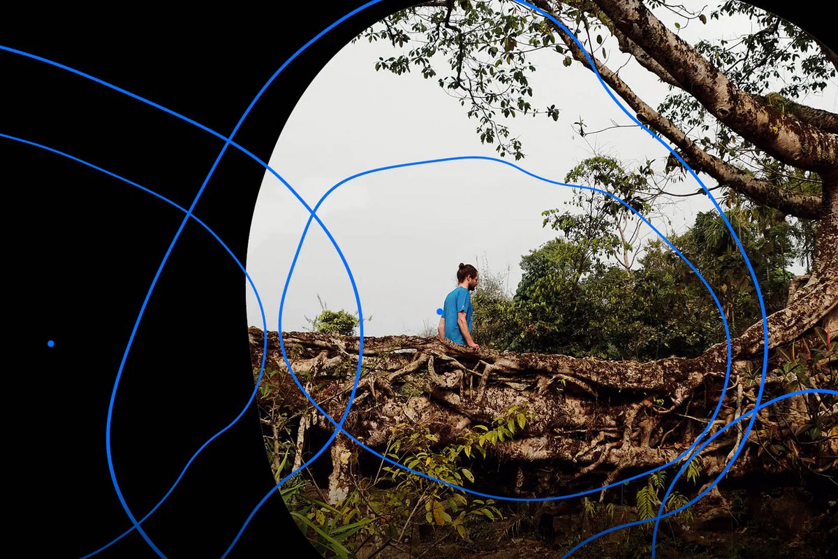 "Trees, Time, Architecture!" – Rethinking architecture and time with ...